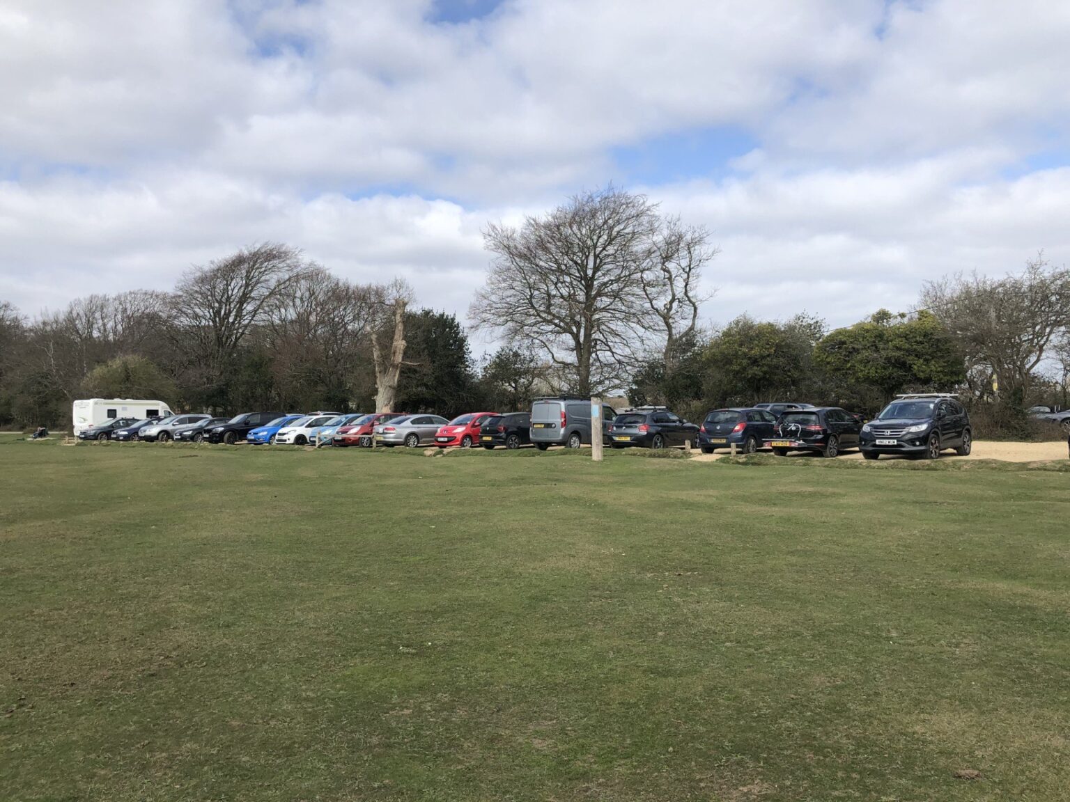 New Forest National Park Authority calls for Forestry England car ...