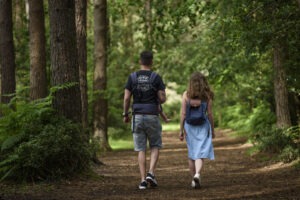 Things to see and do in the New Forest National Park